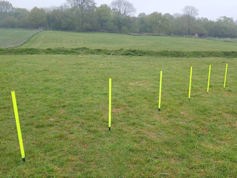 New Weaving Poles - Ashdown Paddock
